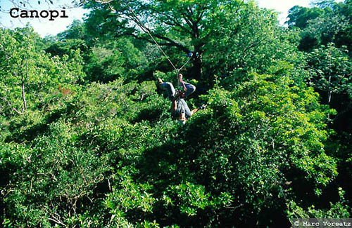 Jen weld door canopies uk >> ||metal porch canopies||